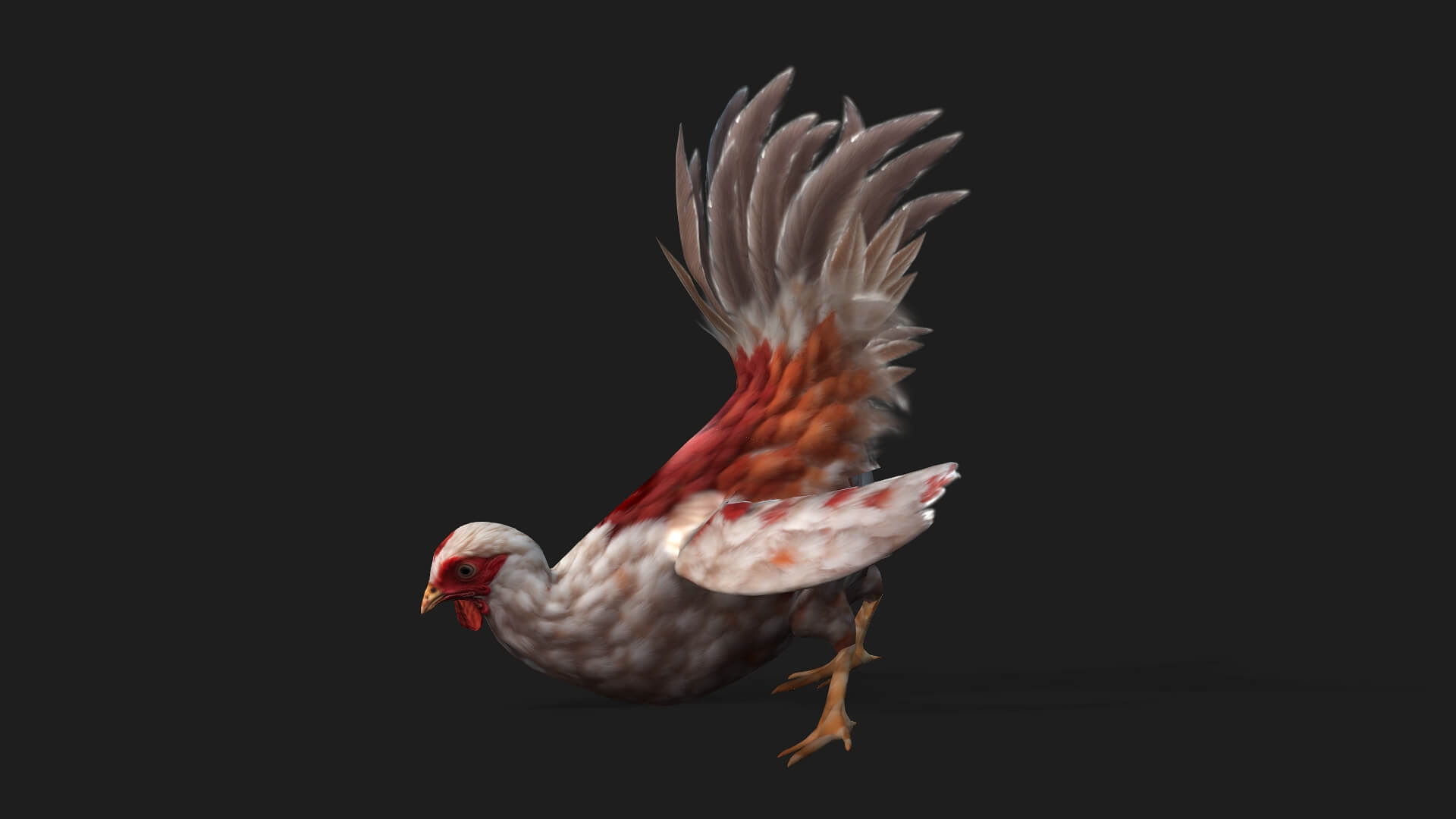 Chicken A2 Animated - 3D Model by Animated3d