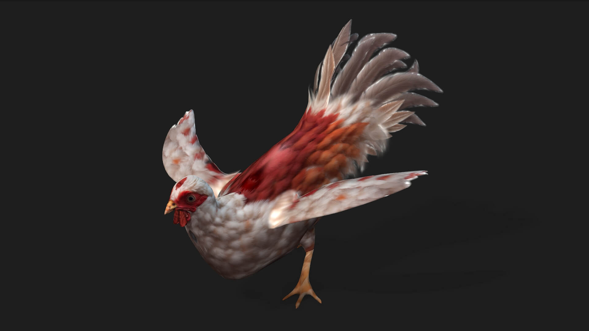 Chicken A2 Animated - 3D Model by Animated3d