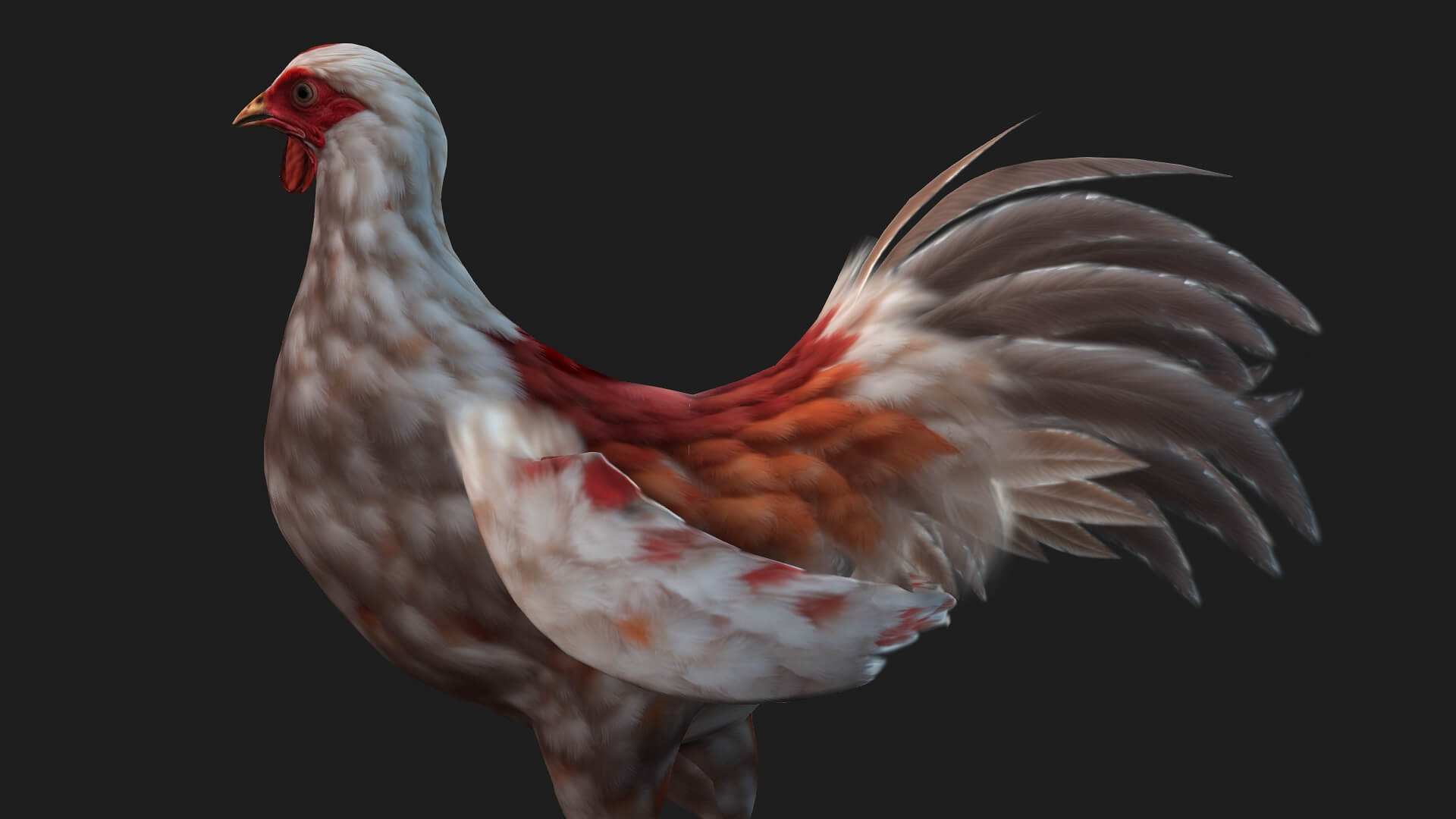 Chicken A2 Animated - 3D Model by Animated3d