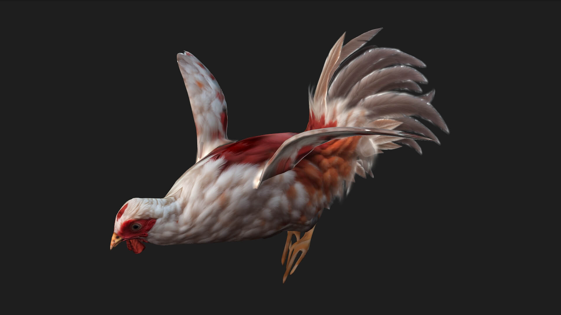 Chicken A2 Animated - 3D Model by Animated3d
