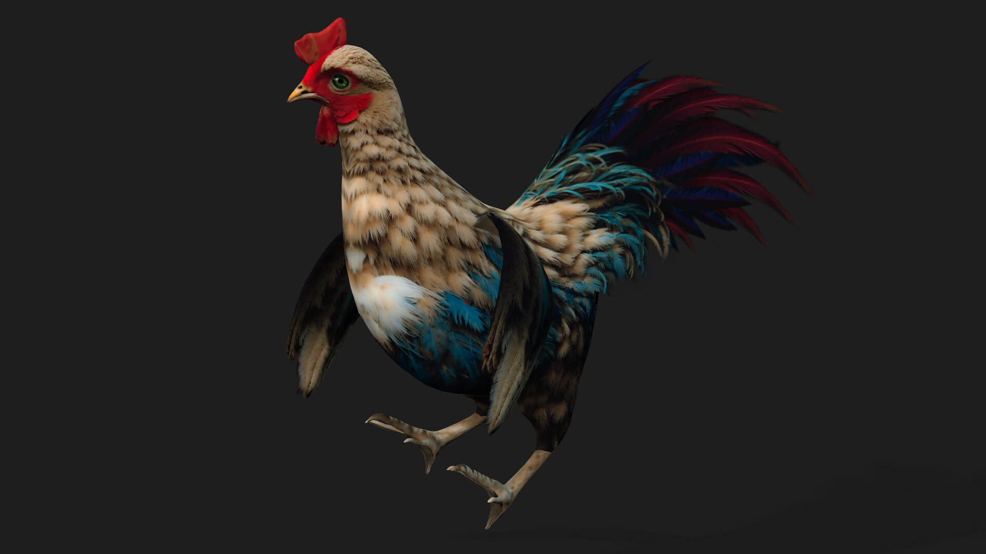 Chicken A4 Animated - 3D Model by Animated3d