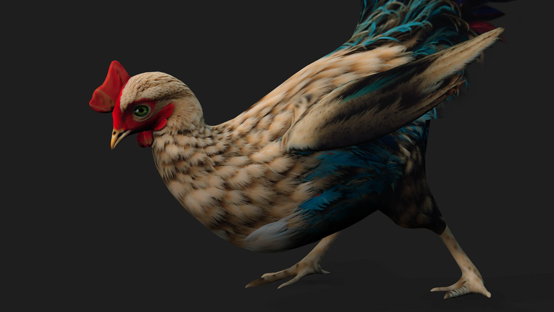 Chicken A4 Animated - 3D Model by Animated3d