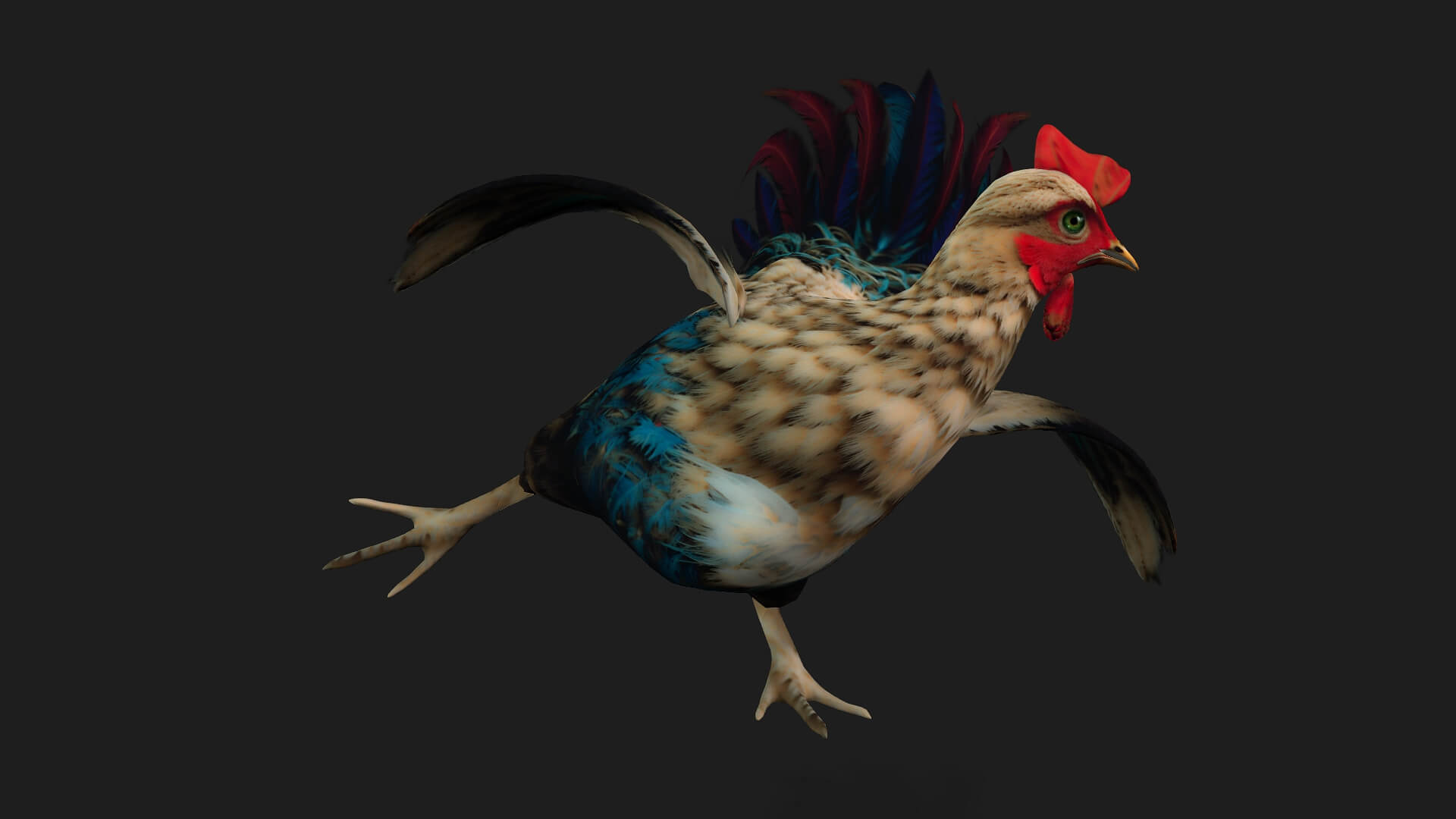 Chicken A4 Animated - 3D Model by Animated3d