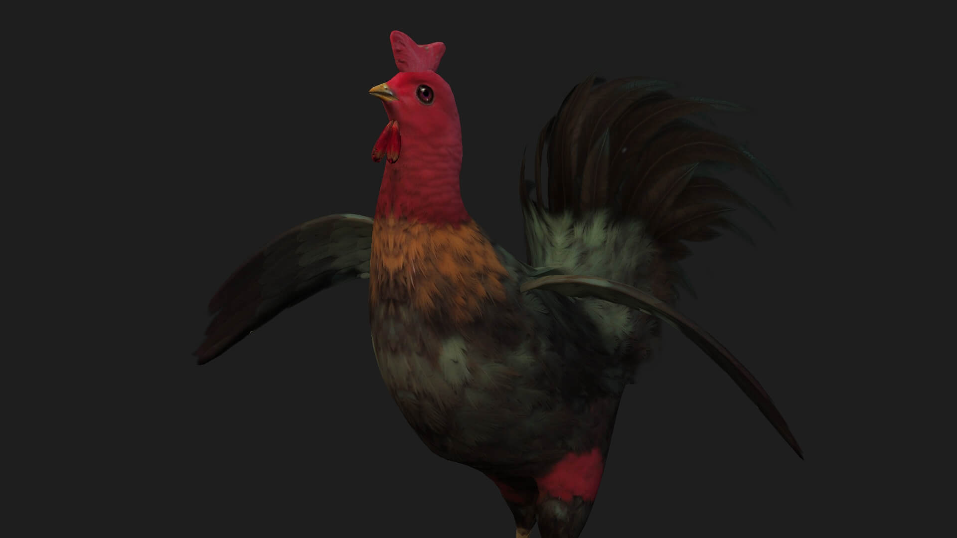 Chicken A5 Animated - 3D Model by Animated3d