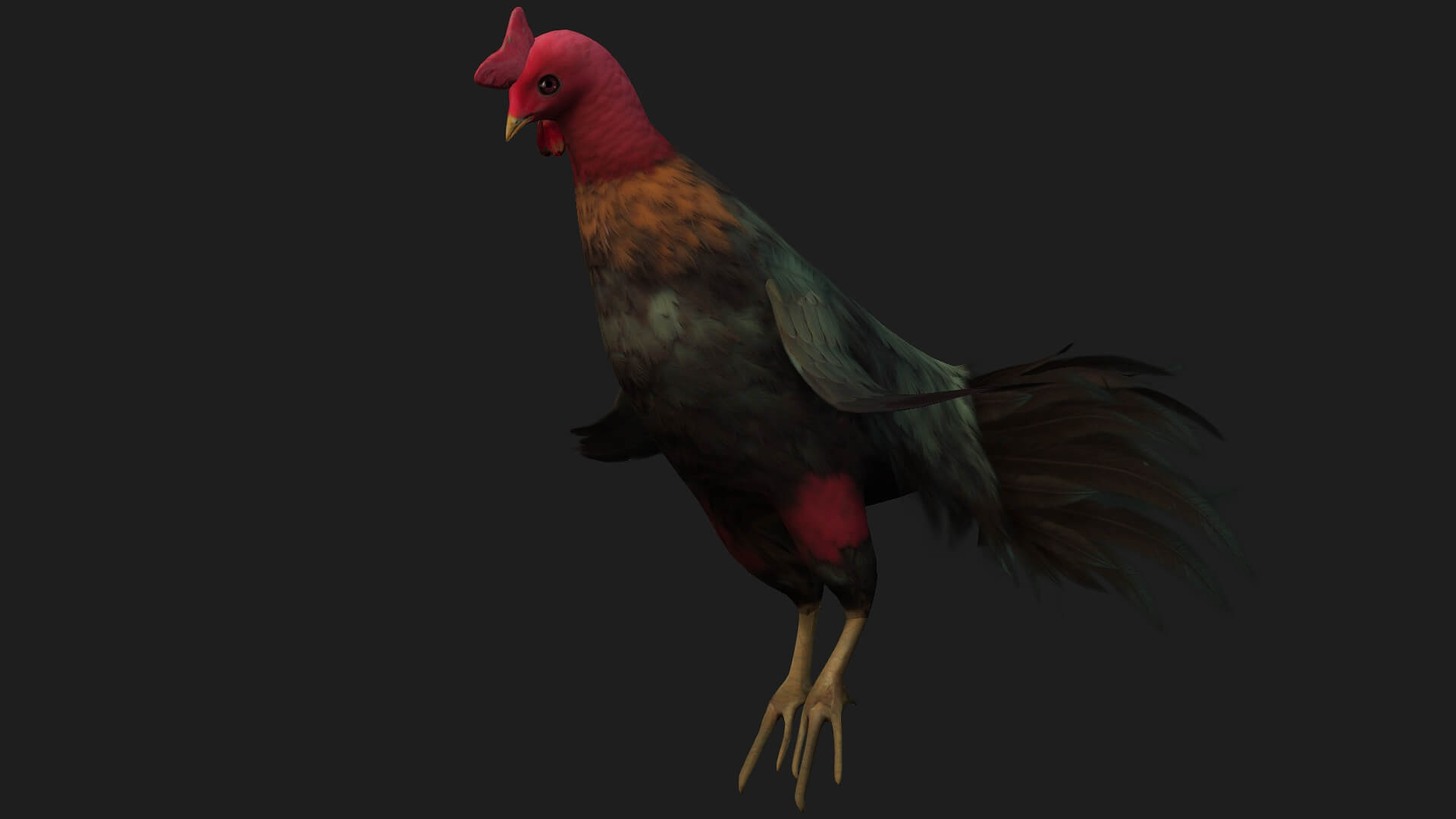 Chicken A5 Animated - 3D Model by Animated3d