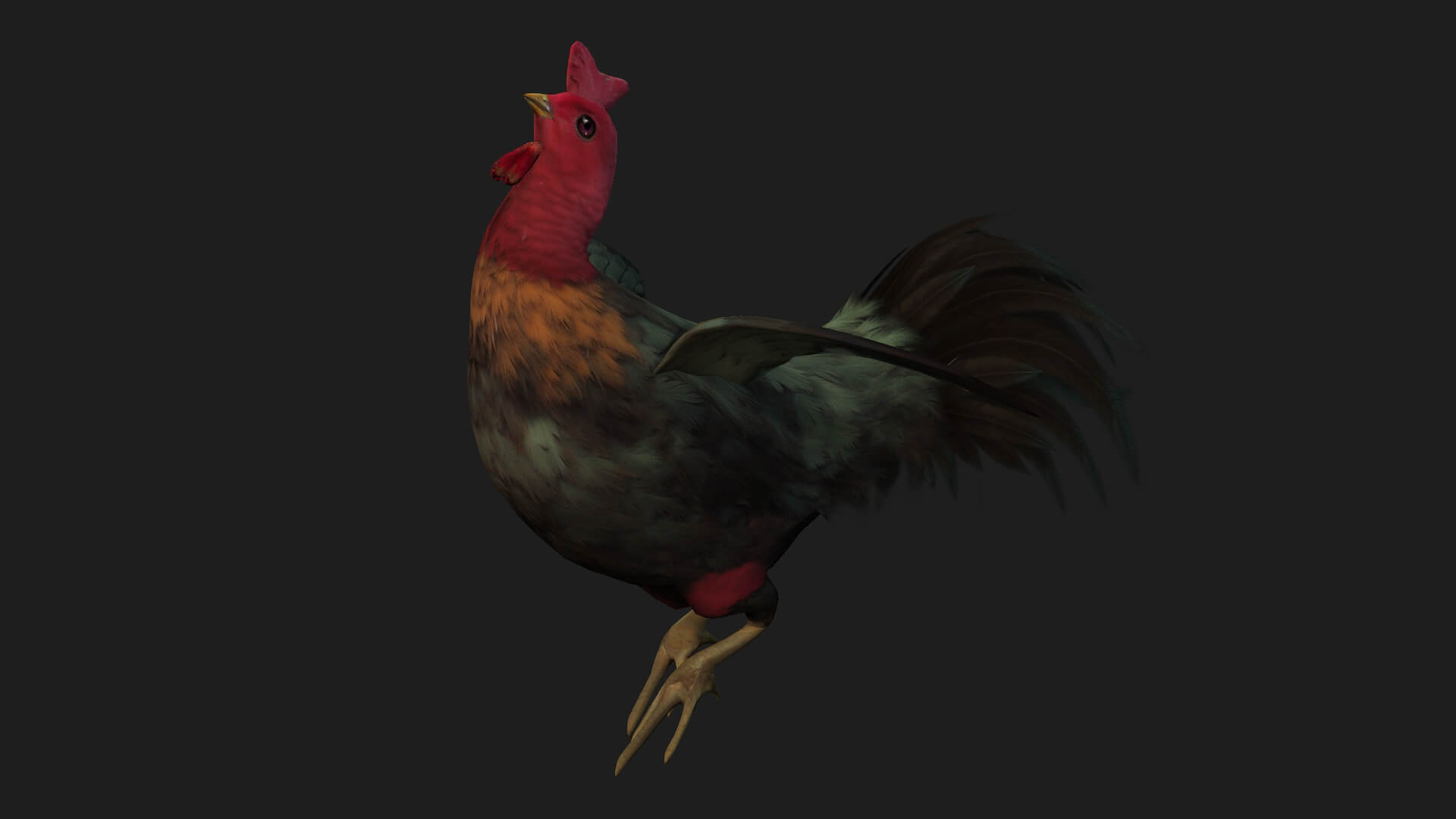 Chicken A5 Animated - 3D Model by Animated3d