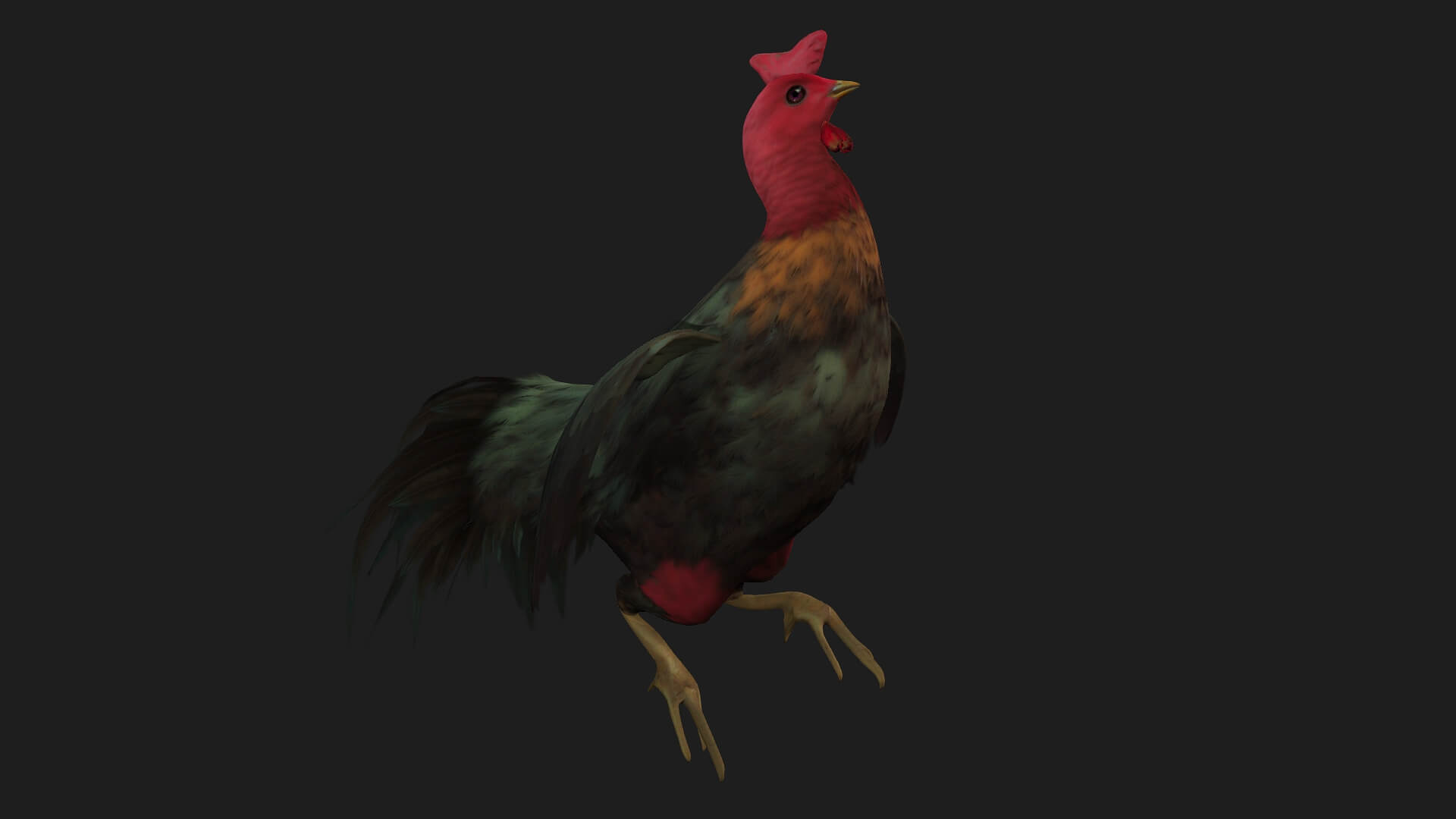 Chicken A5 Animated - 3D Model by Animated3d