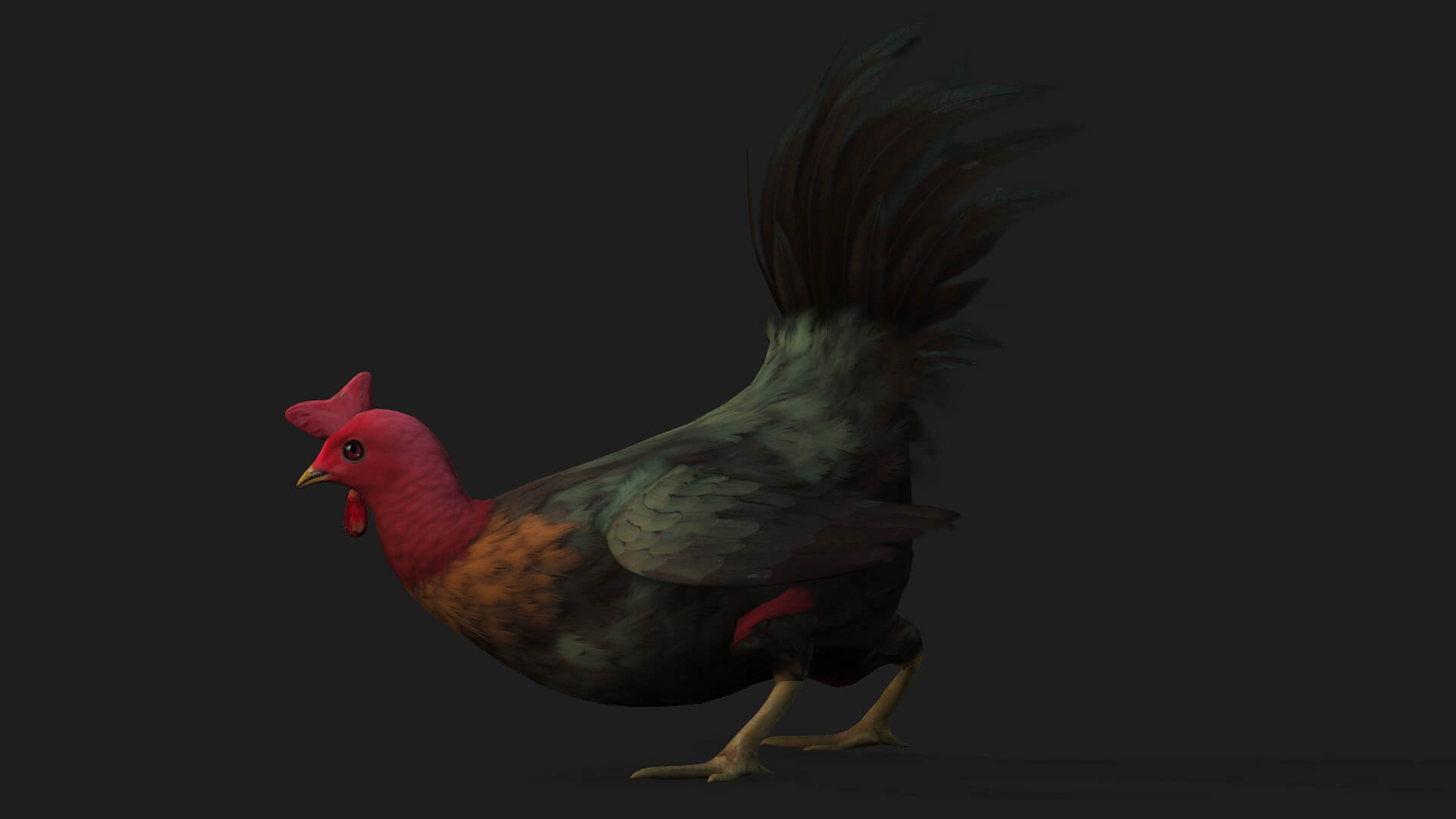 Chicken A5 Animated - 3D Model by Animated3d