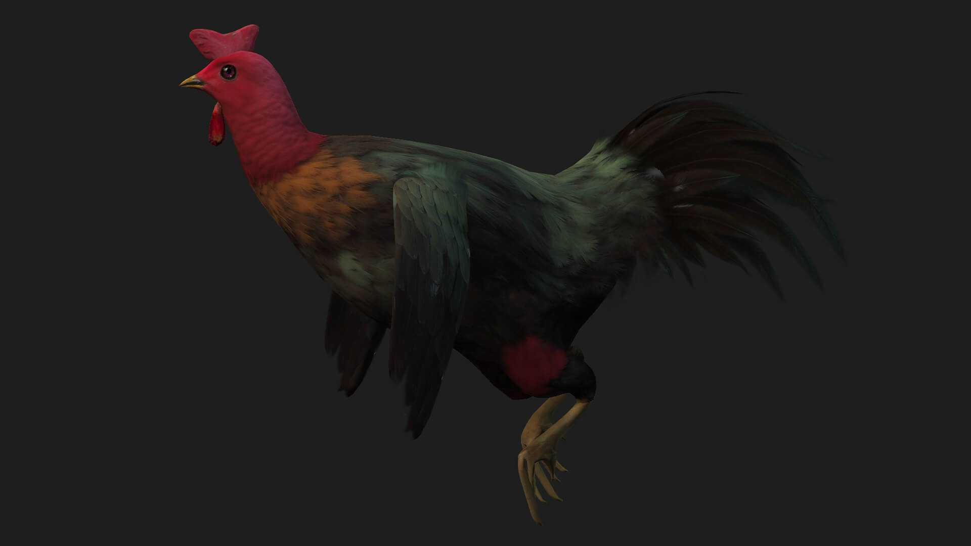 Chicken A5 Animated - 3D Model by Animated3d
