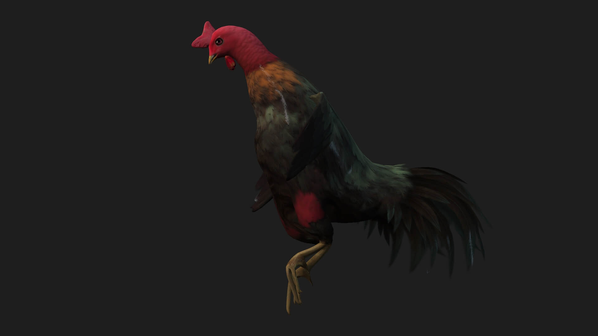 Chicken A5 Animated - 3D Model by Animated3d