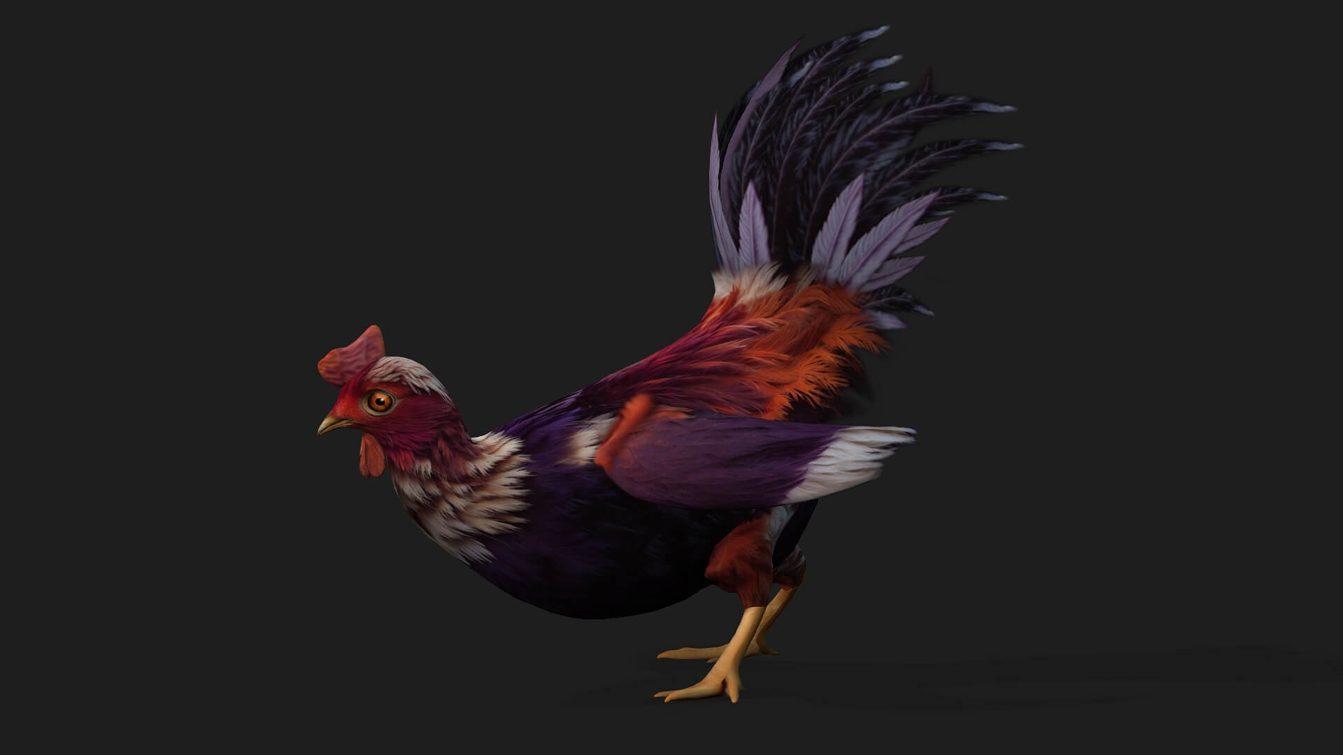 Chicken A6 Animated - 3D Model by Animated3d