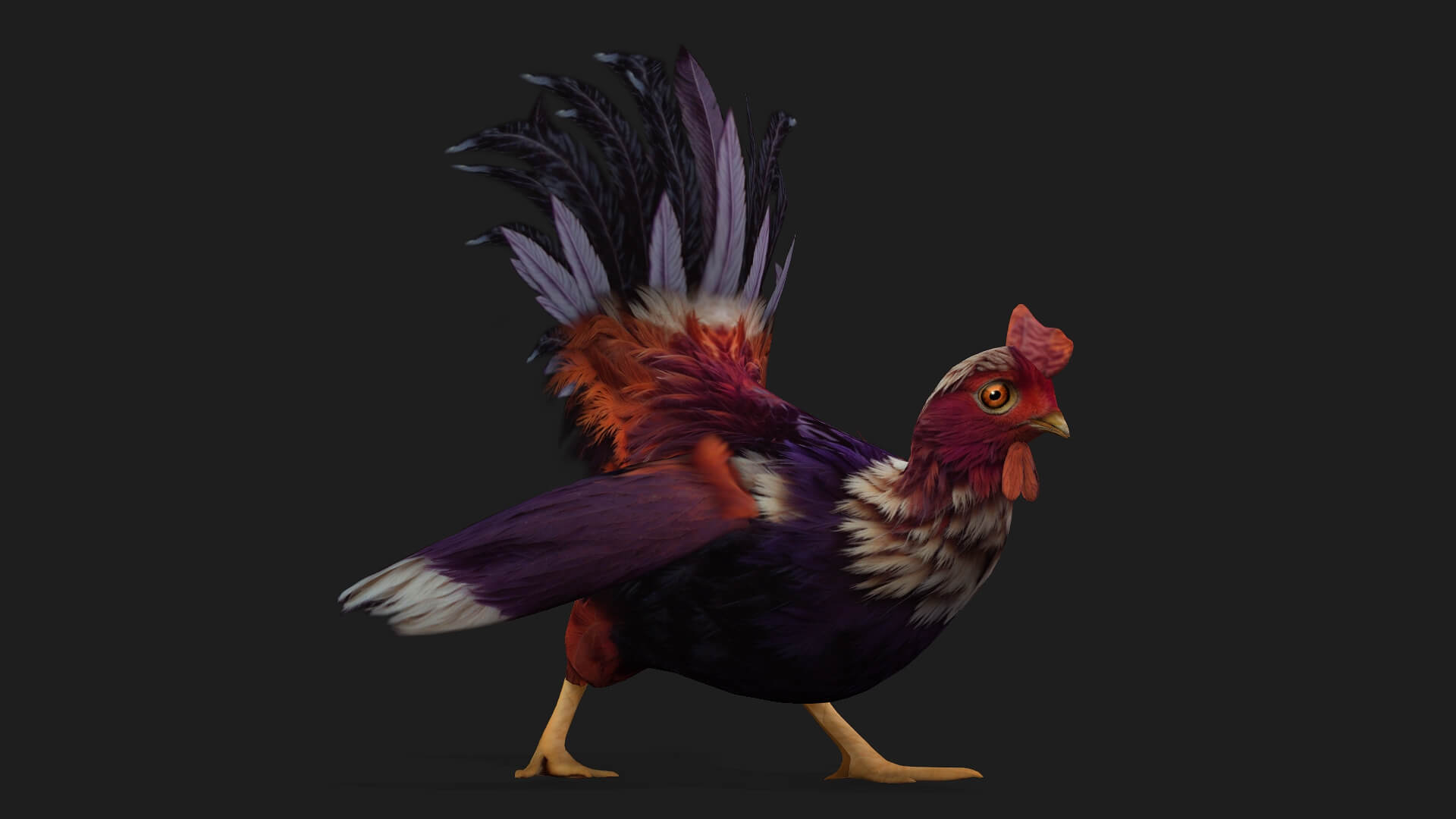 Chicken A6 Animated - 3D Model by Animated3d