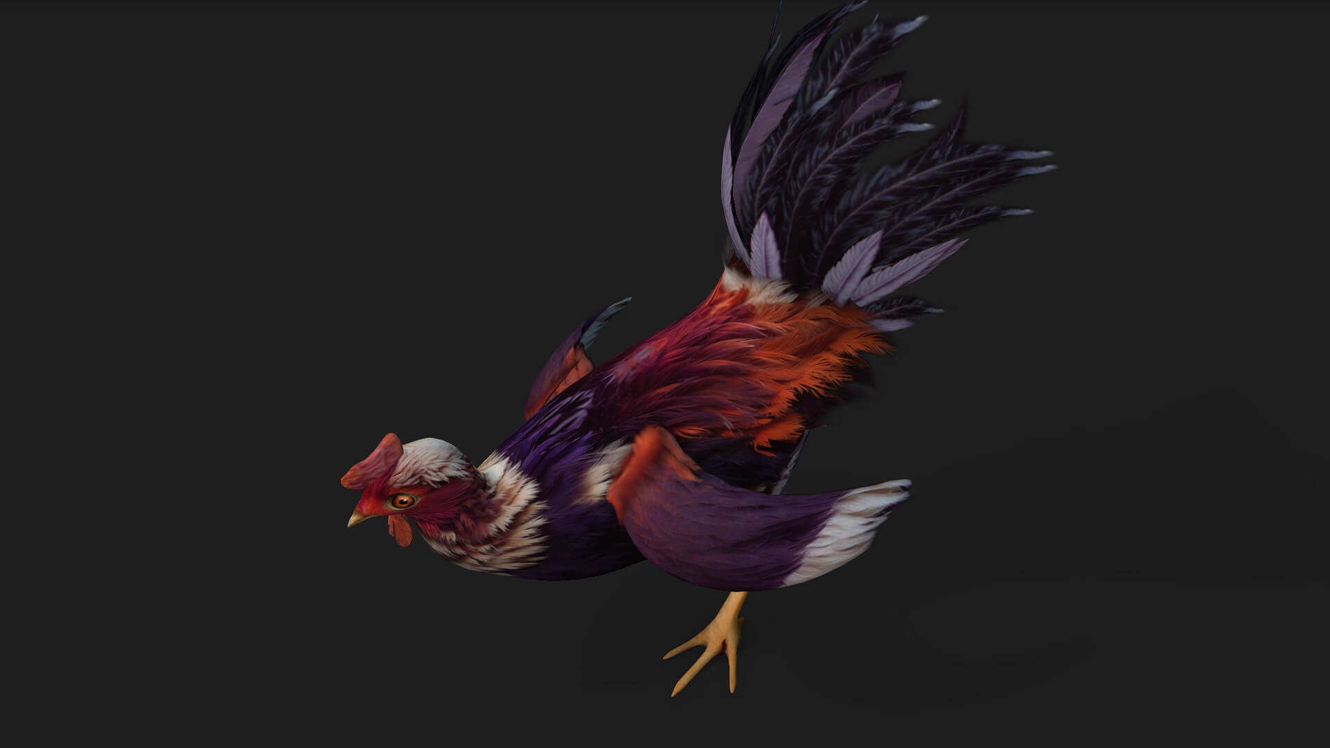 Chicken A6 Animated - 3D Model by Animated3d