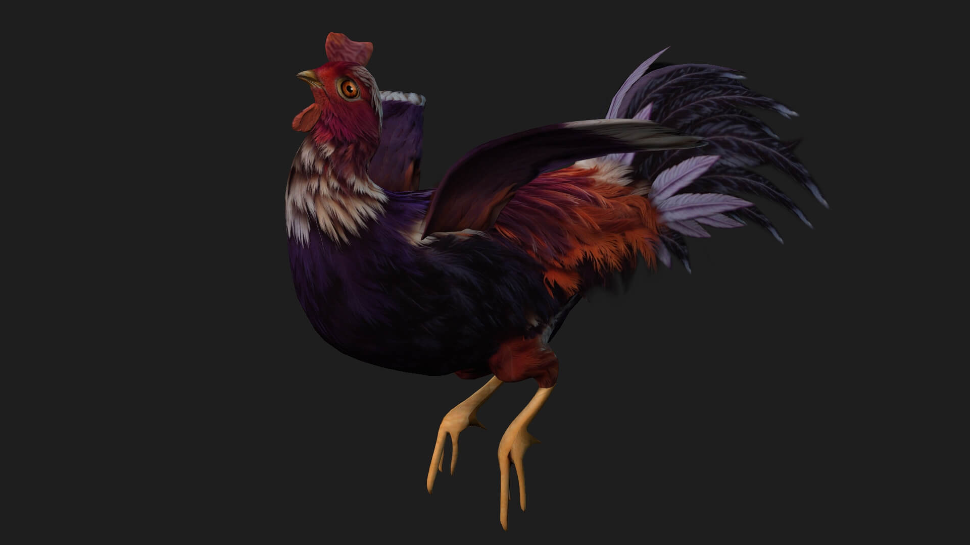 Chicken A6 Animated - 3D Model by Animated3d