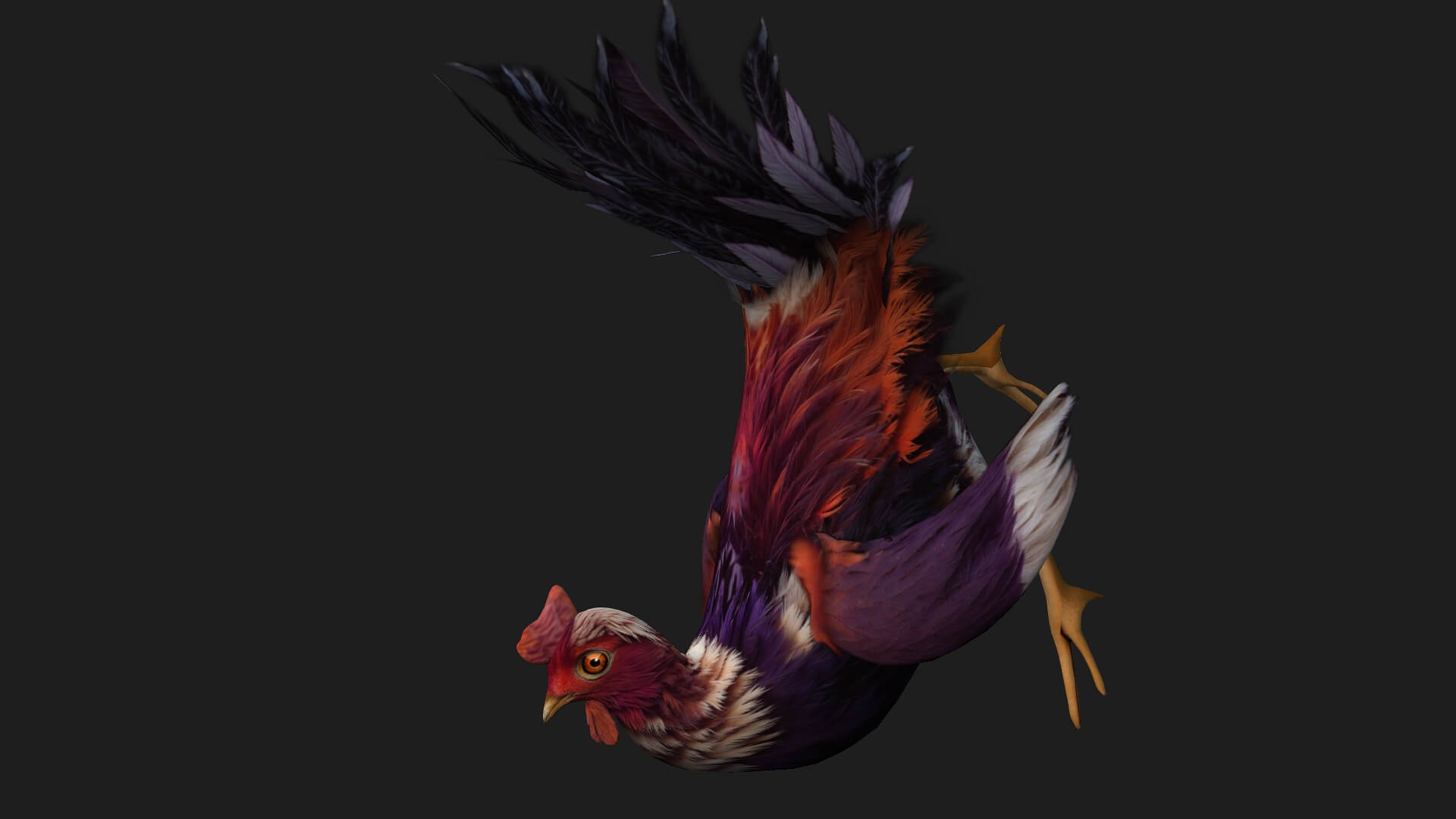 Chicken A6 Animated - 3D Model by Animated3d