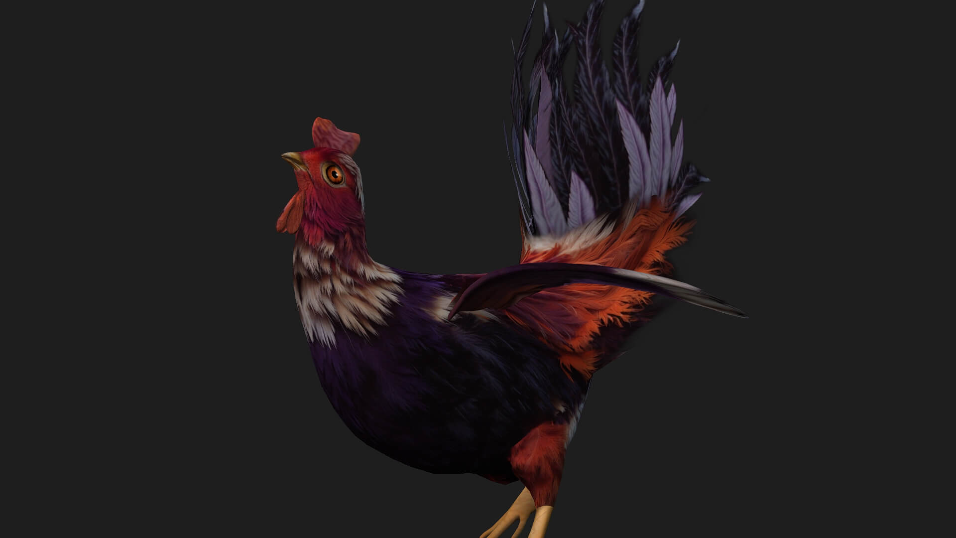 Chicken A6 Animated - 3D Model by Animated3d