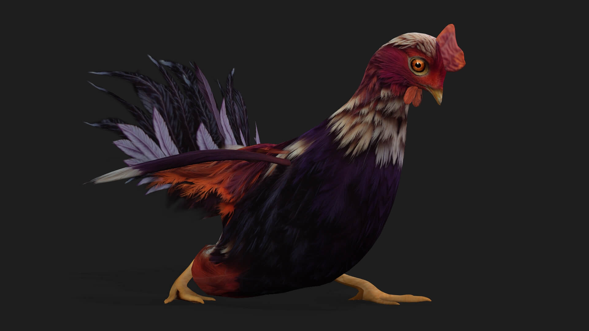 Chicken A6 Animated - 3D Model by Animated3d