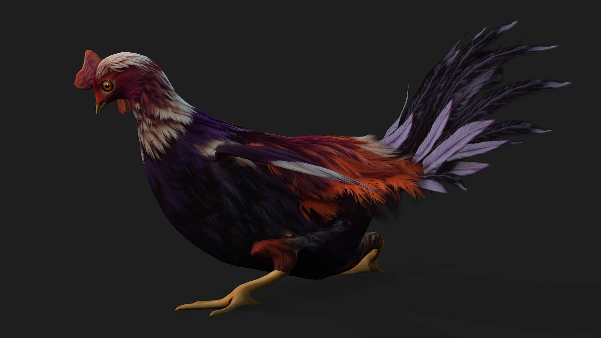 Chicken A6 Animated - 3D Model by Animated3d
