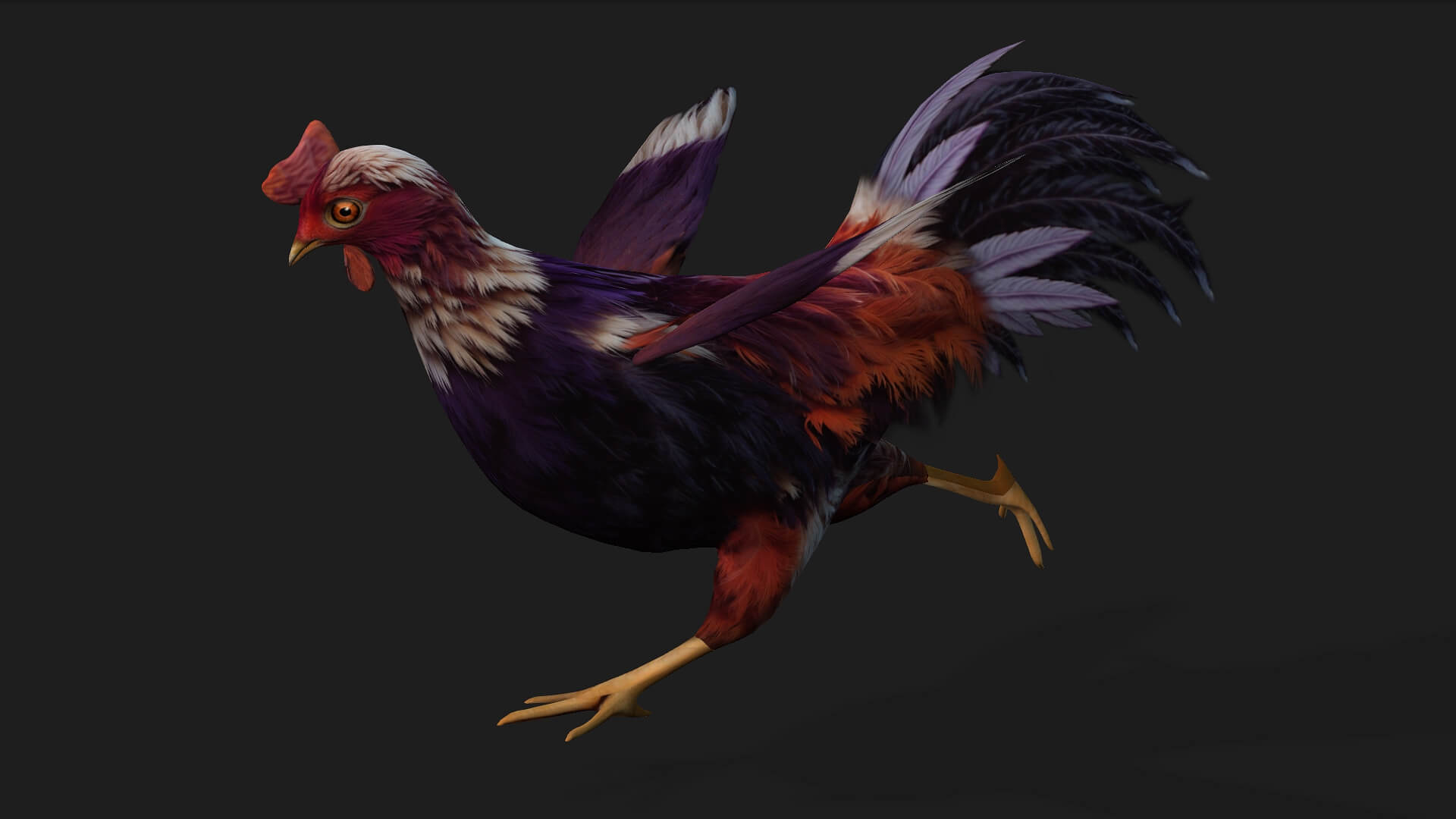Chicken A6 Animated - 3D Model by Animated3d