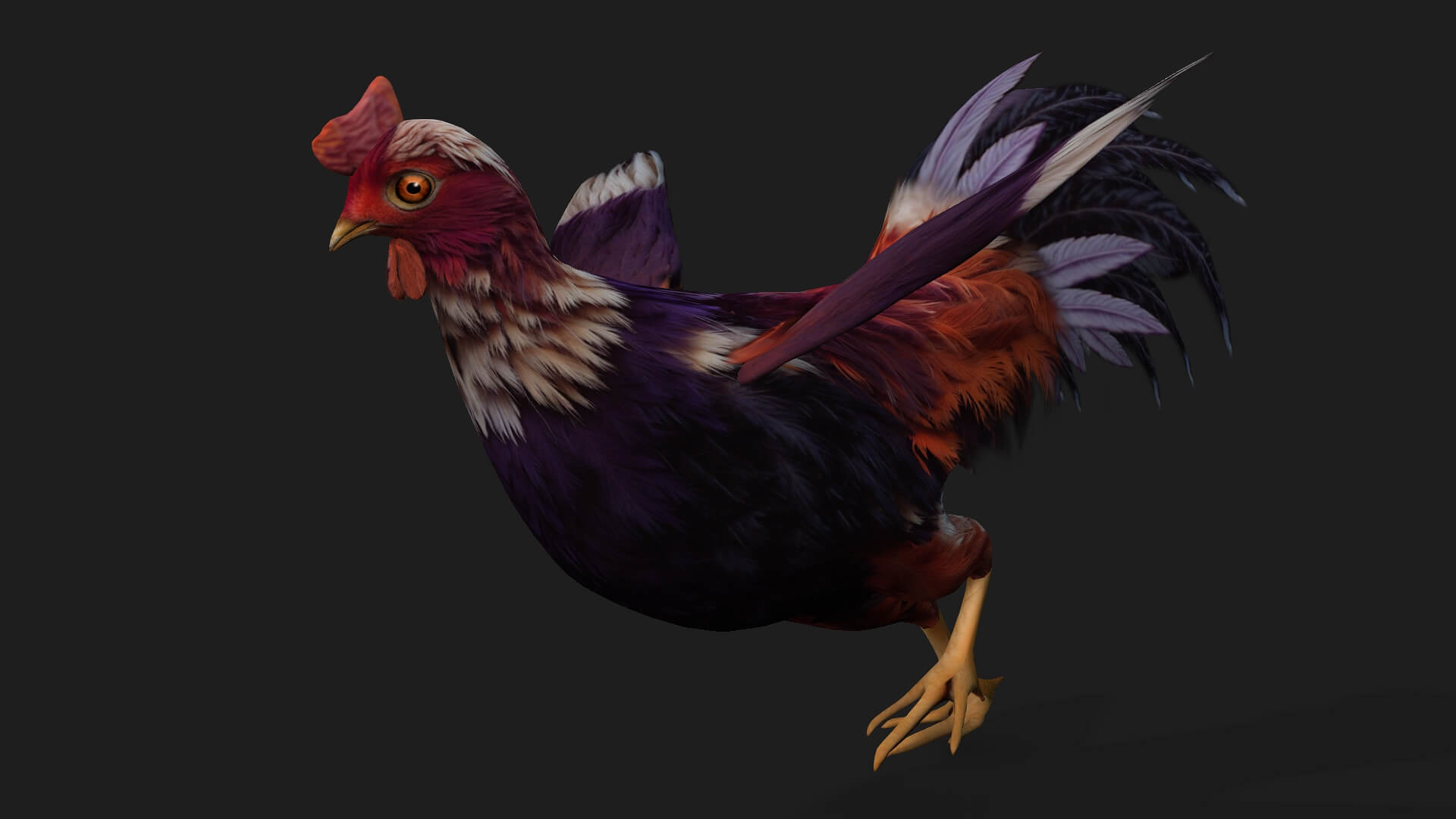 Chicken A6 Animated - 3D Model by Animated3d