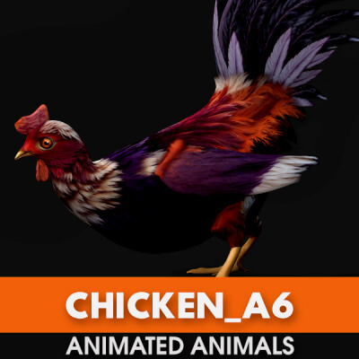 Chicken A6 Animated - 3D Model by Animated3d