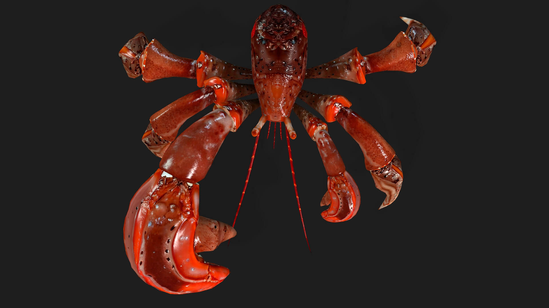 Crab-A1-Animated 3D Model by Animated3d