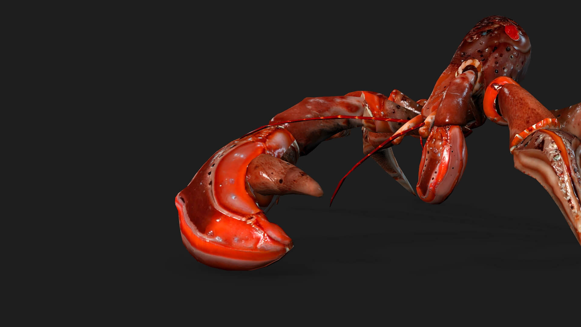 Crab-A1-Animated 3D Model by Animated3d