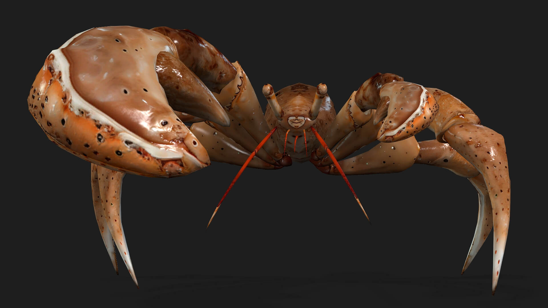 Crab-A2-Animated 3D Model by Animated3d