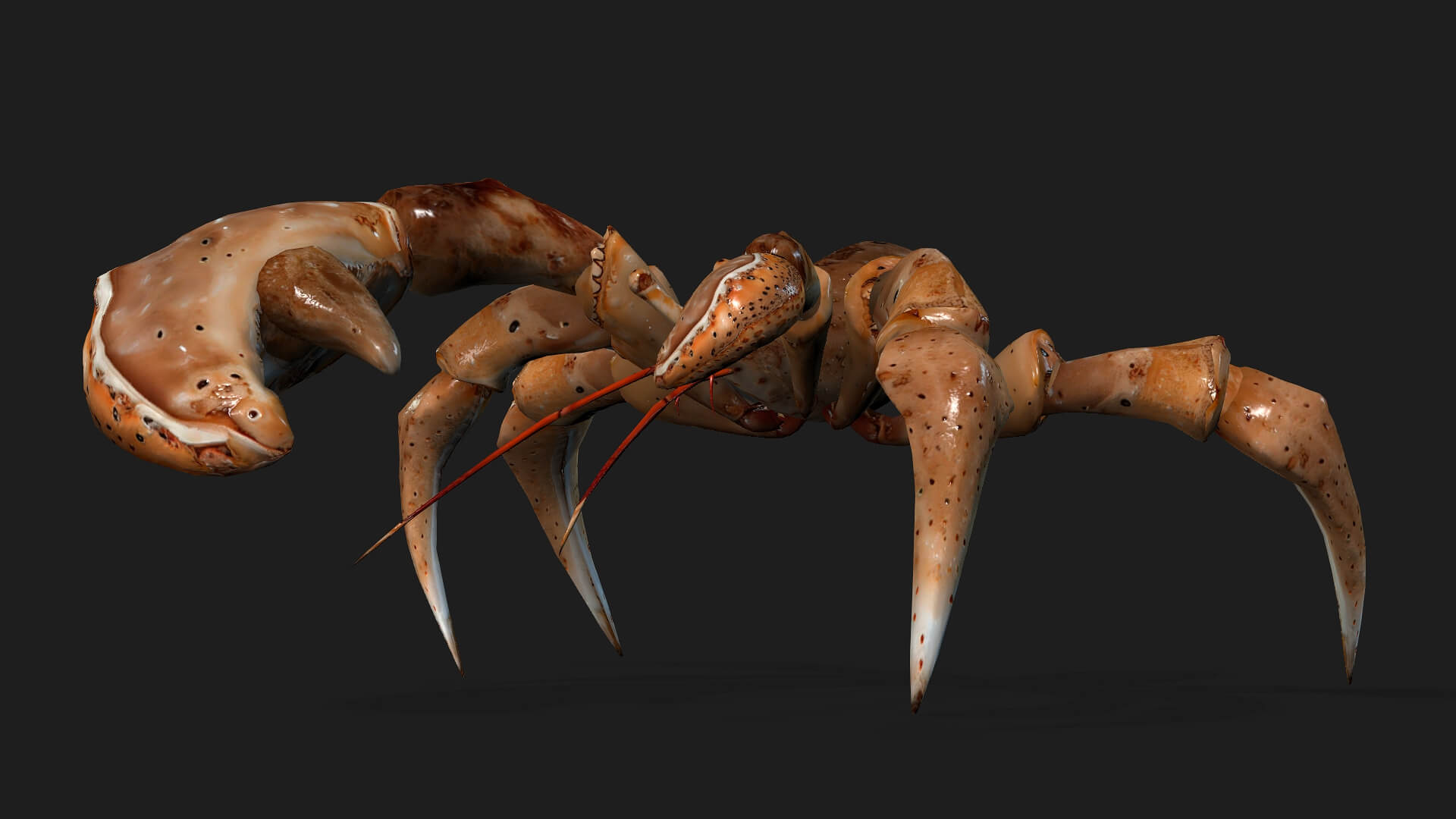 Crab-A2-Animated 3D Model by Animated3d