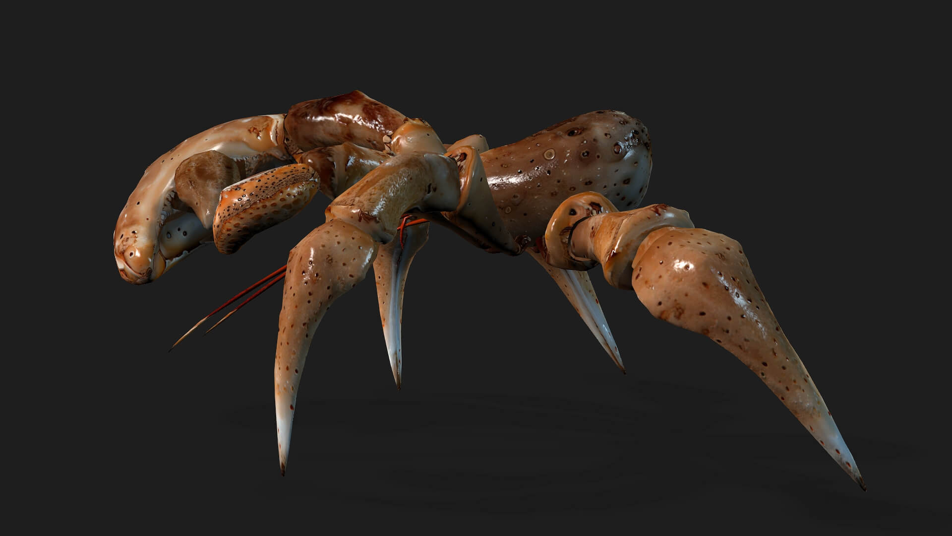 Crab-A2-Animated 3D Model by Animated3d