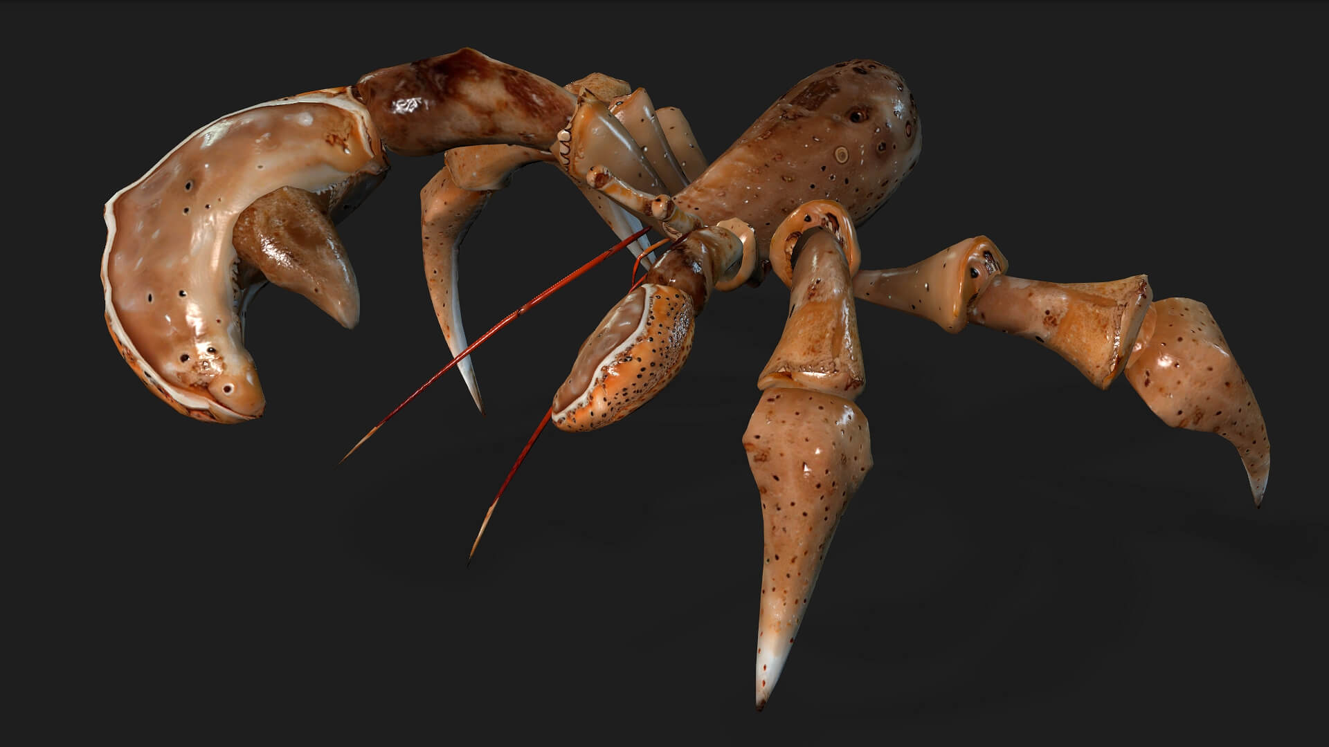 Crab-A2-Animated 3D Model by Animated3d