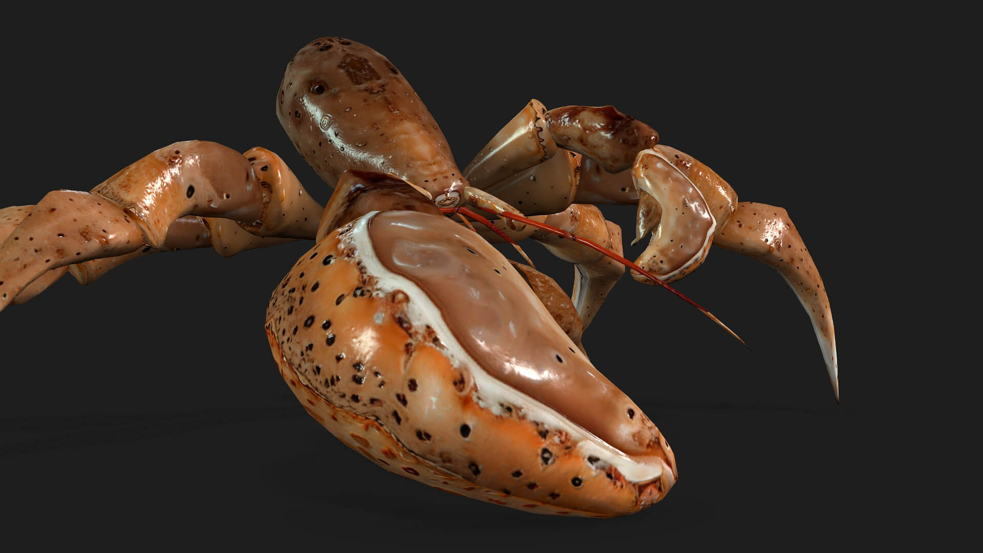 Crab-A2-Animated 3D Model by Animated3d
