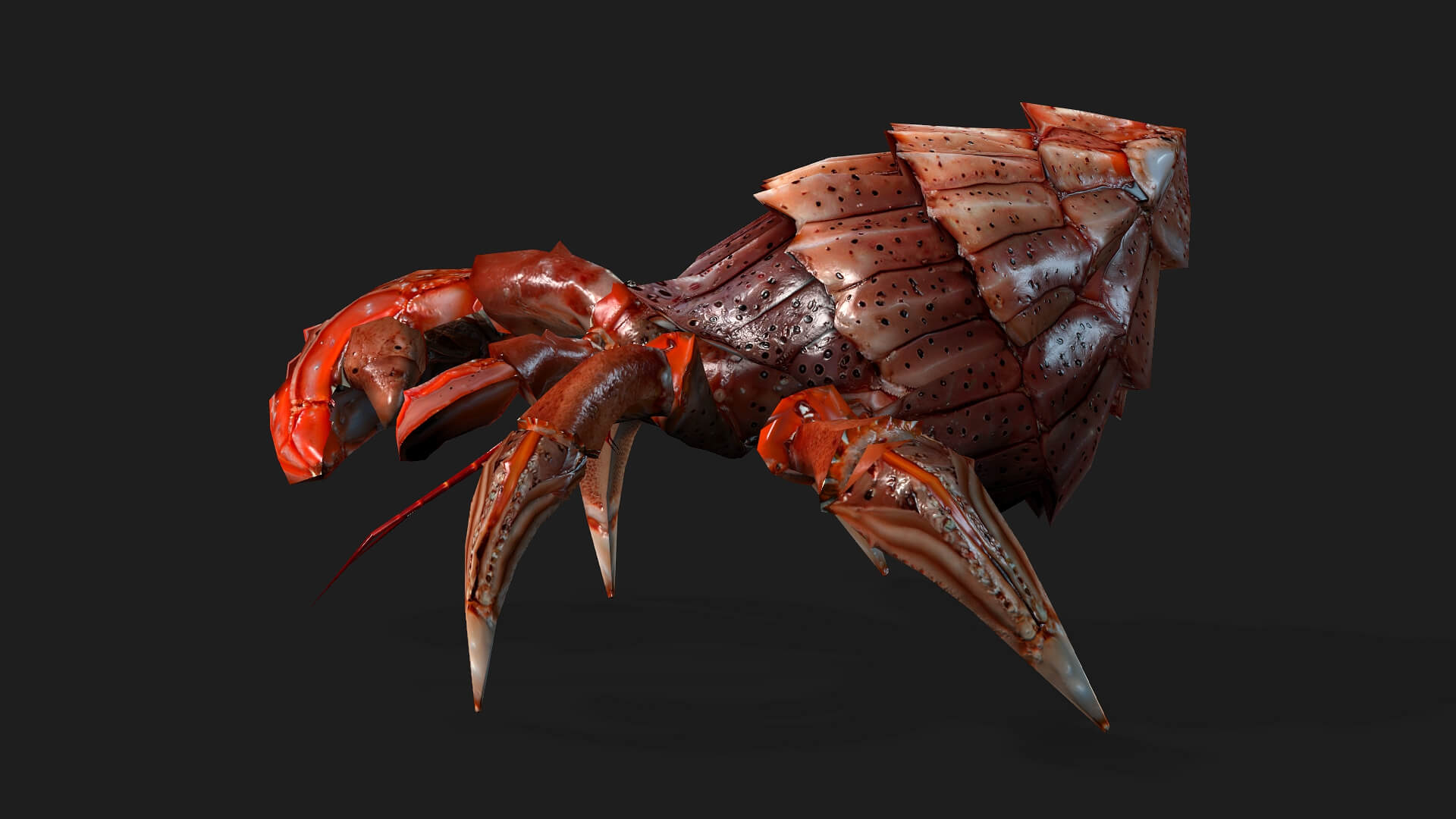 Crab-B1-Animated 3D Model by Animated3d