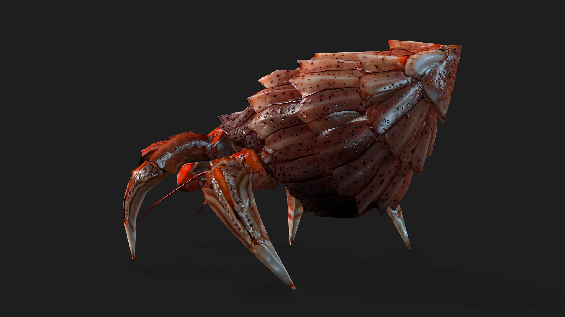 Crab-B1-Animated 3D Model by Animated3d
