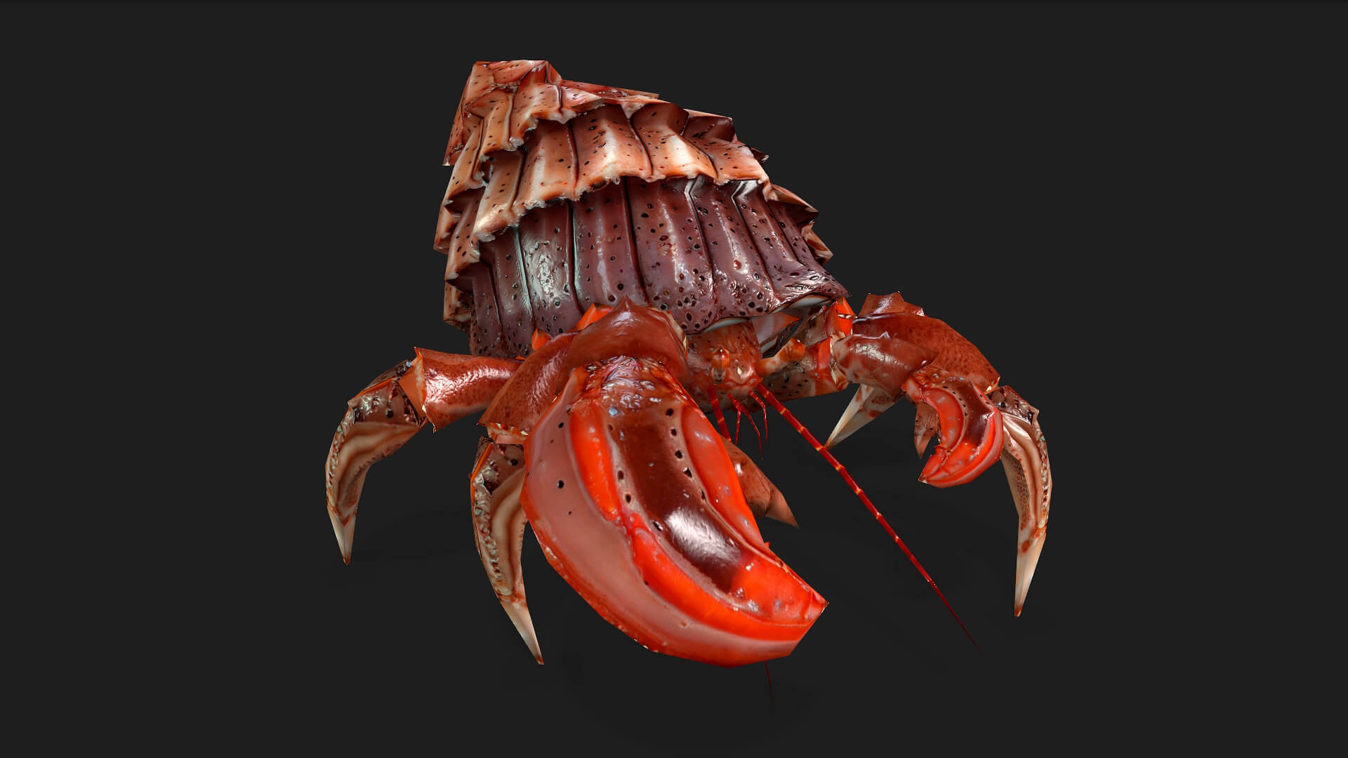 Crab-B1-Animated 3D Model by Animated3d
