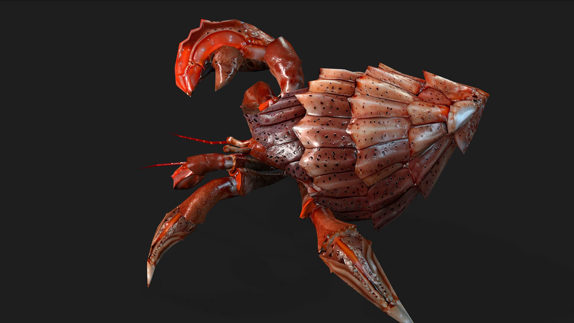 Crab-B1-Animated 3D Model by Animated3d