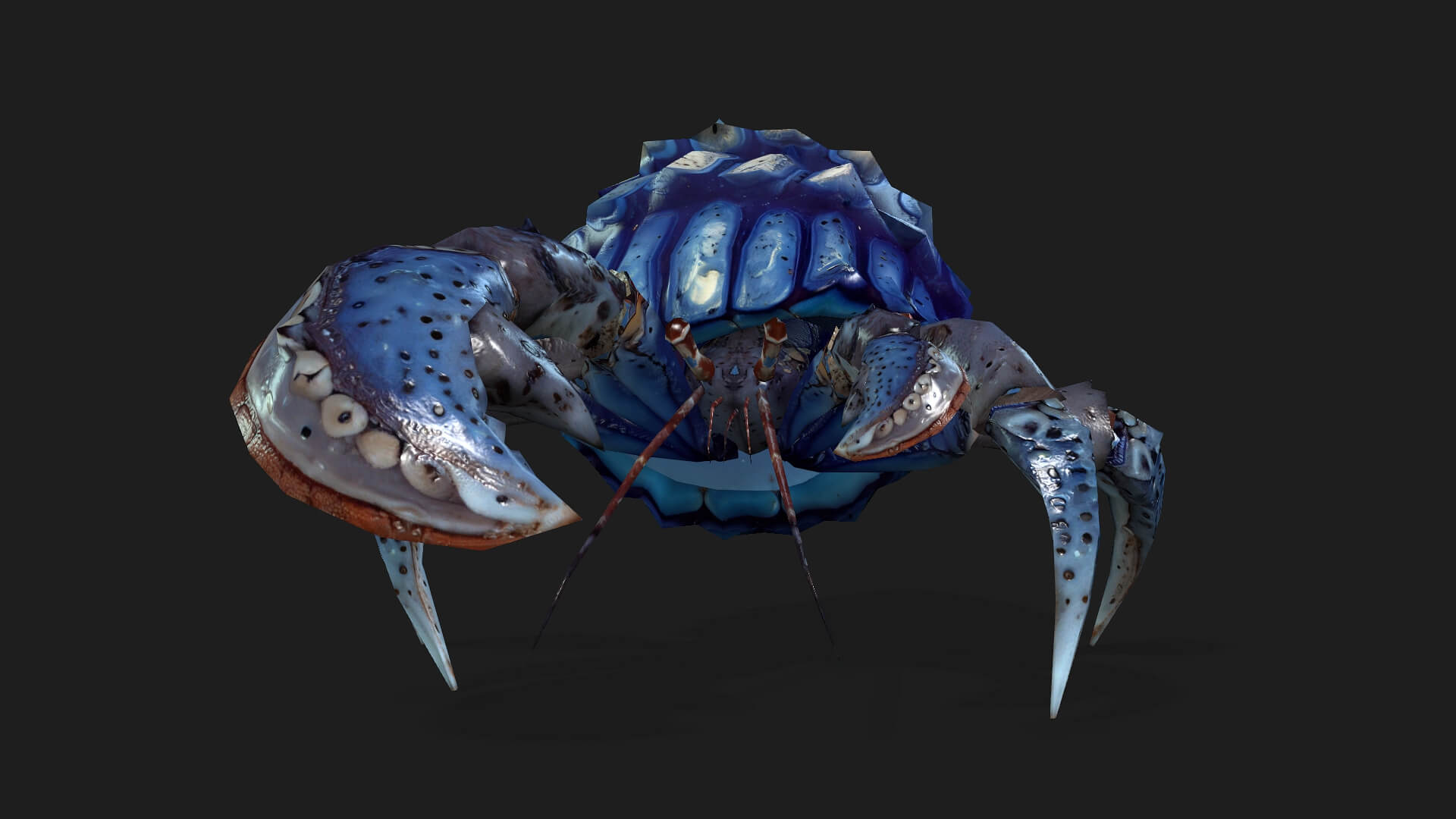 Crab-B3-Animated 3D Model by Animated3d