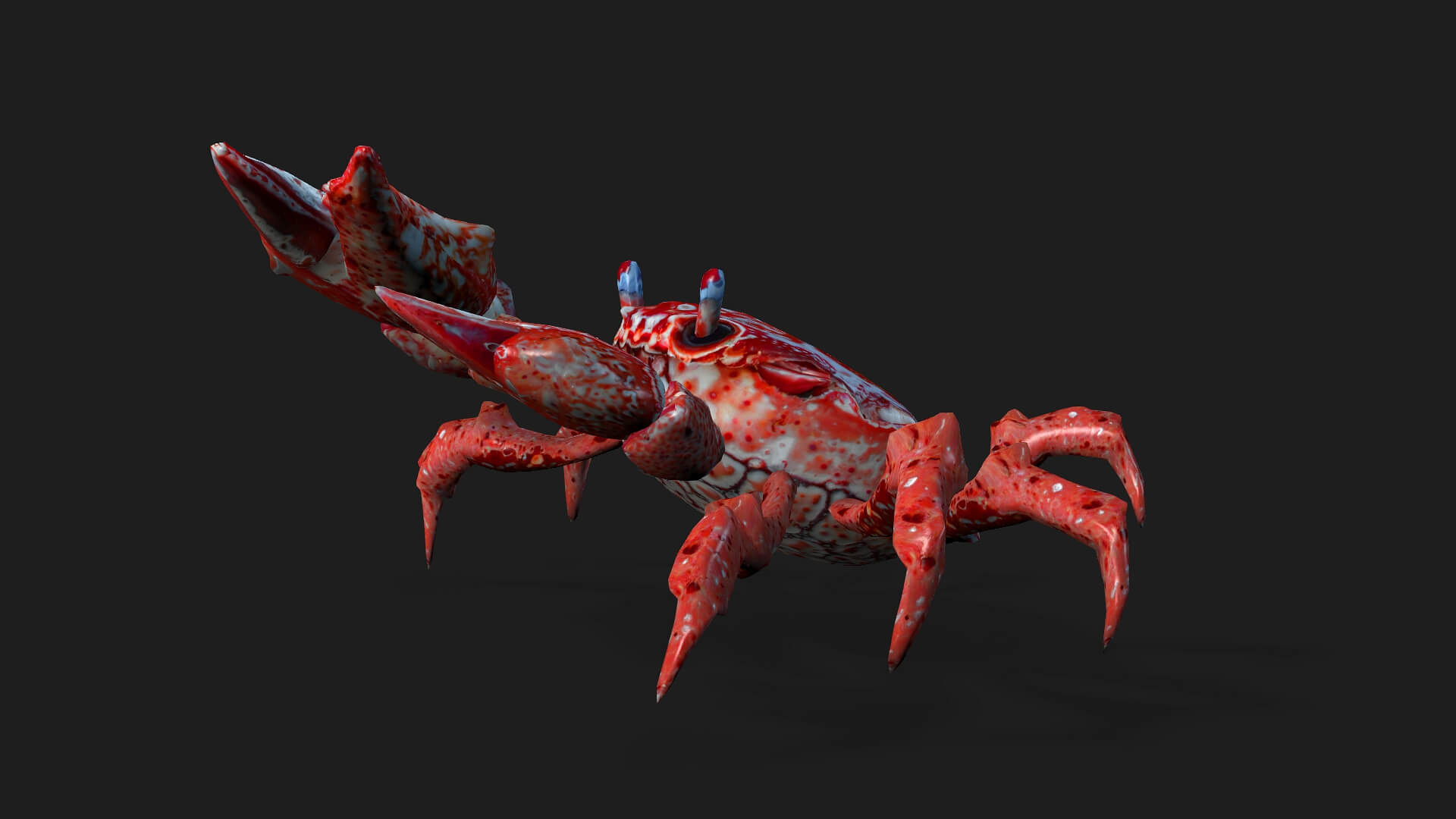Crab-C1-Animated 3D Model by Animated3d