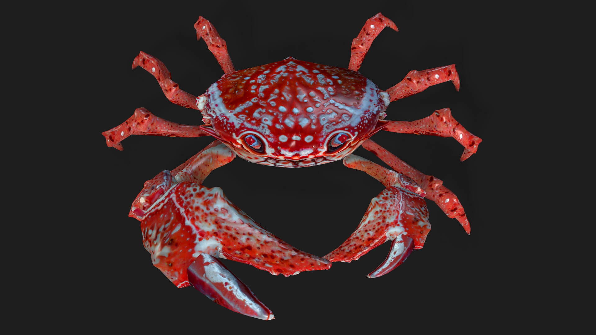Crab-C1-Animated 3D Model by Animated3d