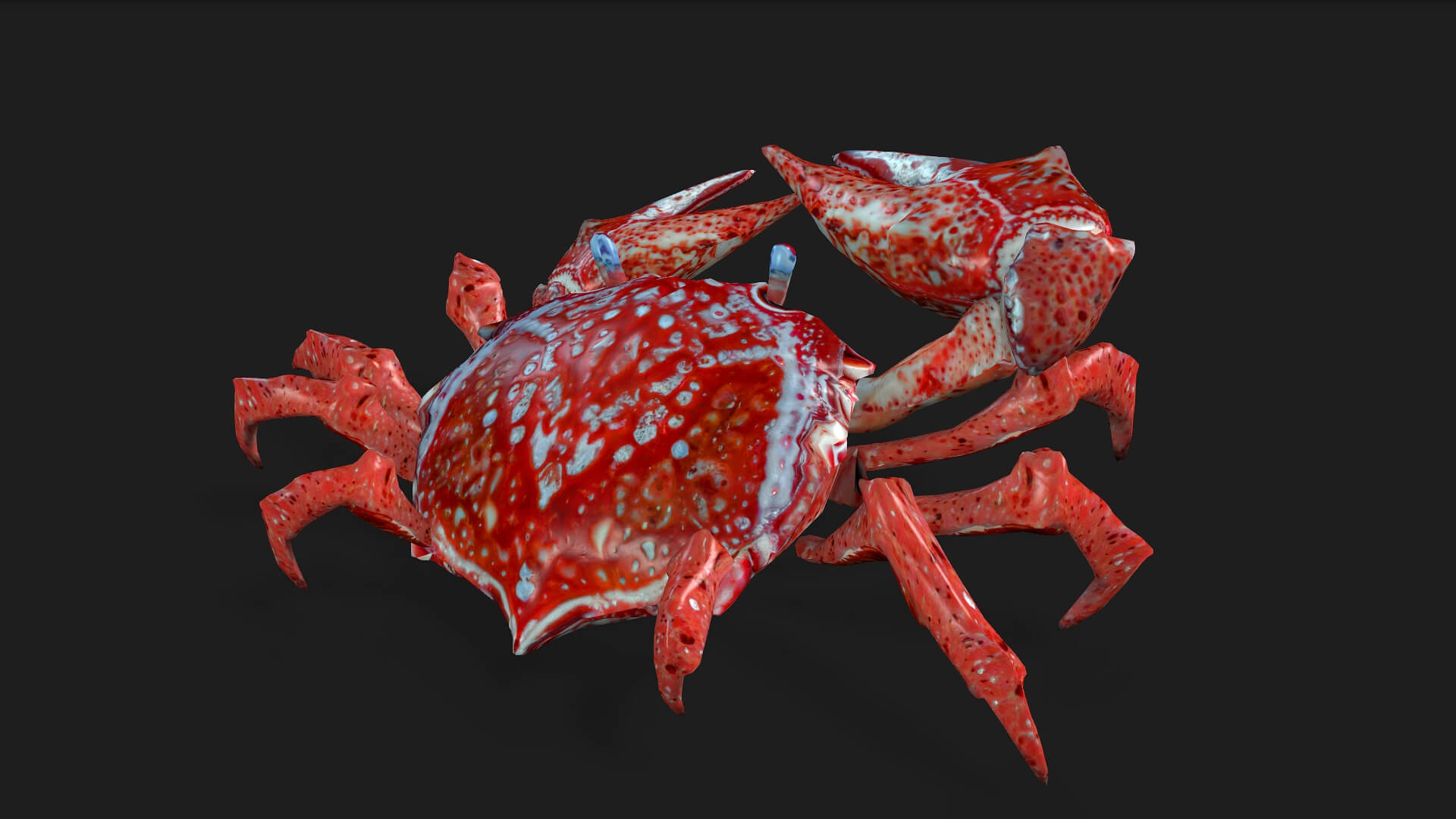 Crab-C1-Animated 3D Model by Animated3d