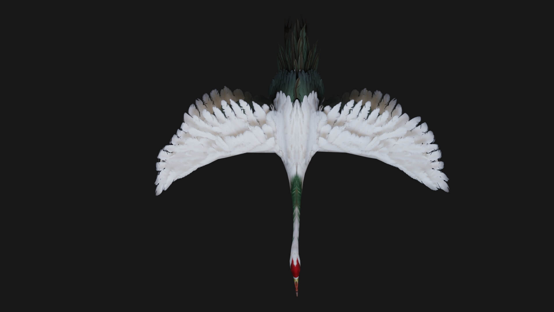 Crane Bird A1 - 3D Model by Animated3d