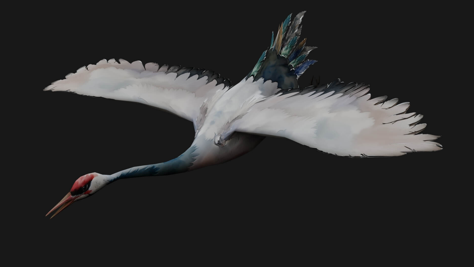 Crane Bird A5 - 3D Model by Animated3d
