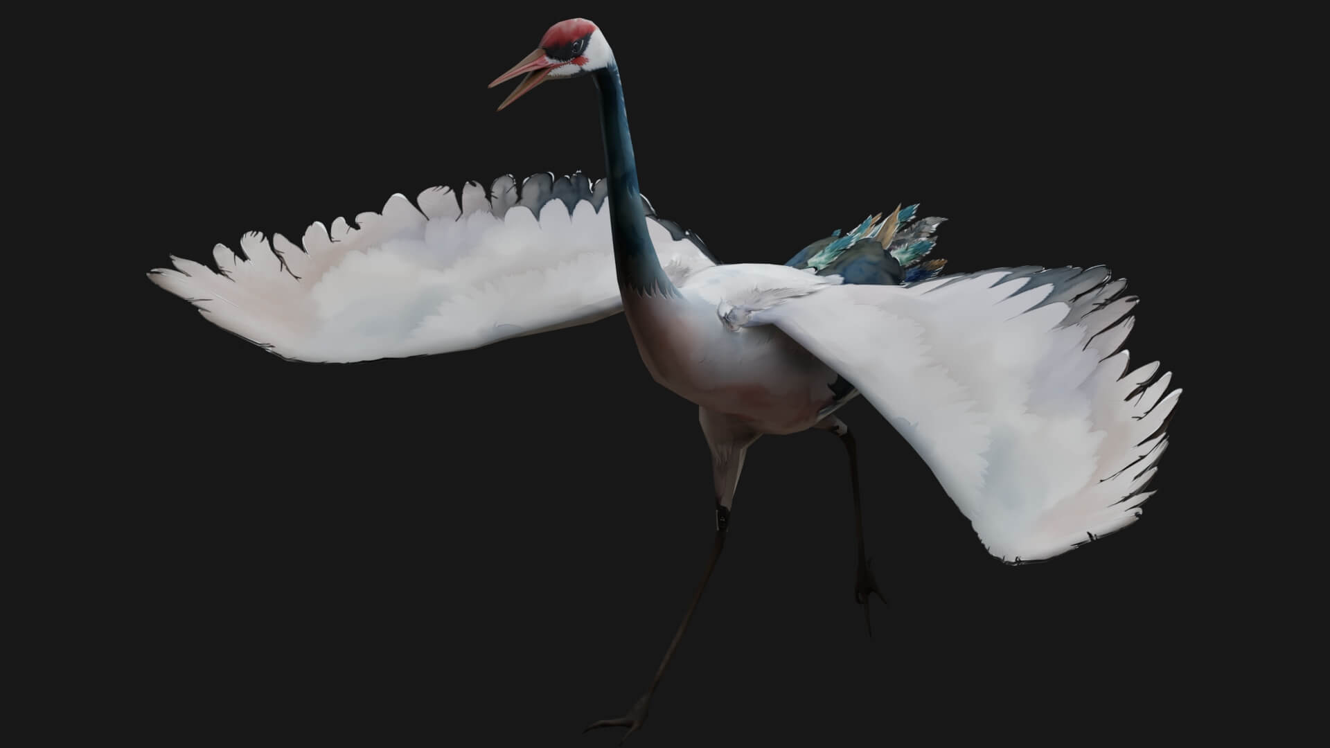 Crane Bird A5 - 3D Model by Animated3d