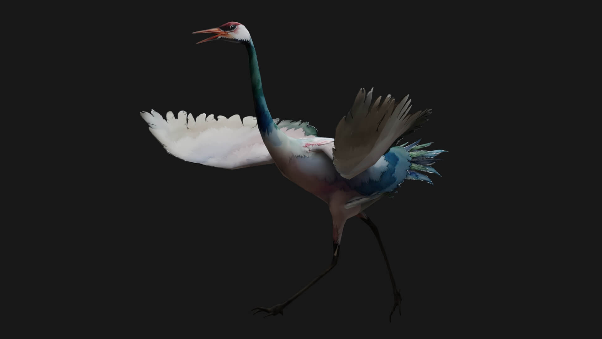 Crane Bird A6 - 3D Model by Animated3d