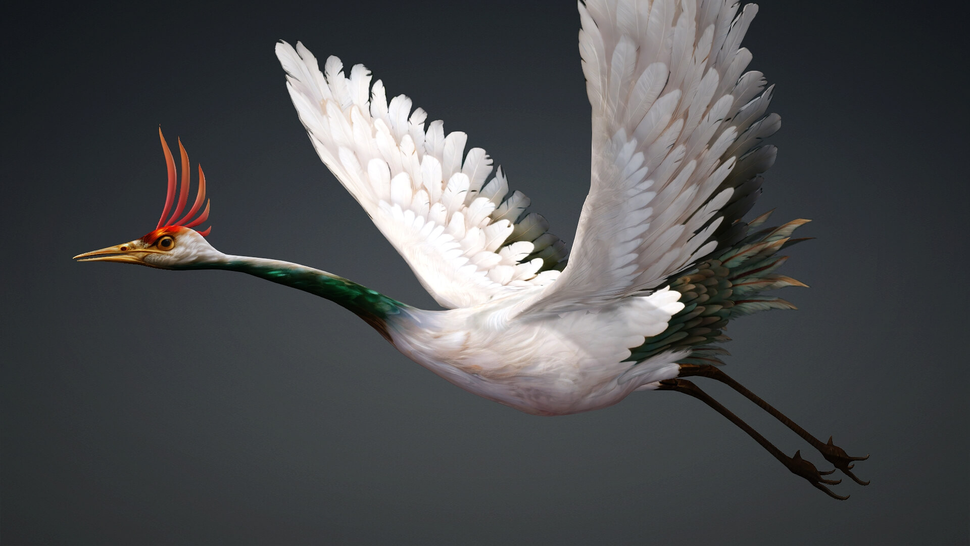 Crane Bird-B3 3D Animation by Animated3d