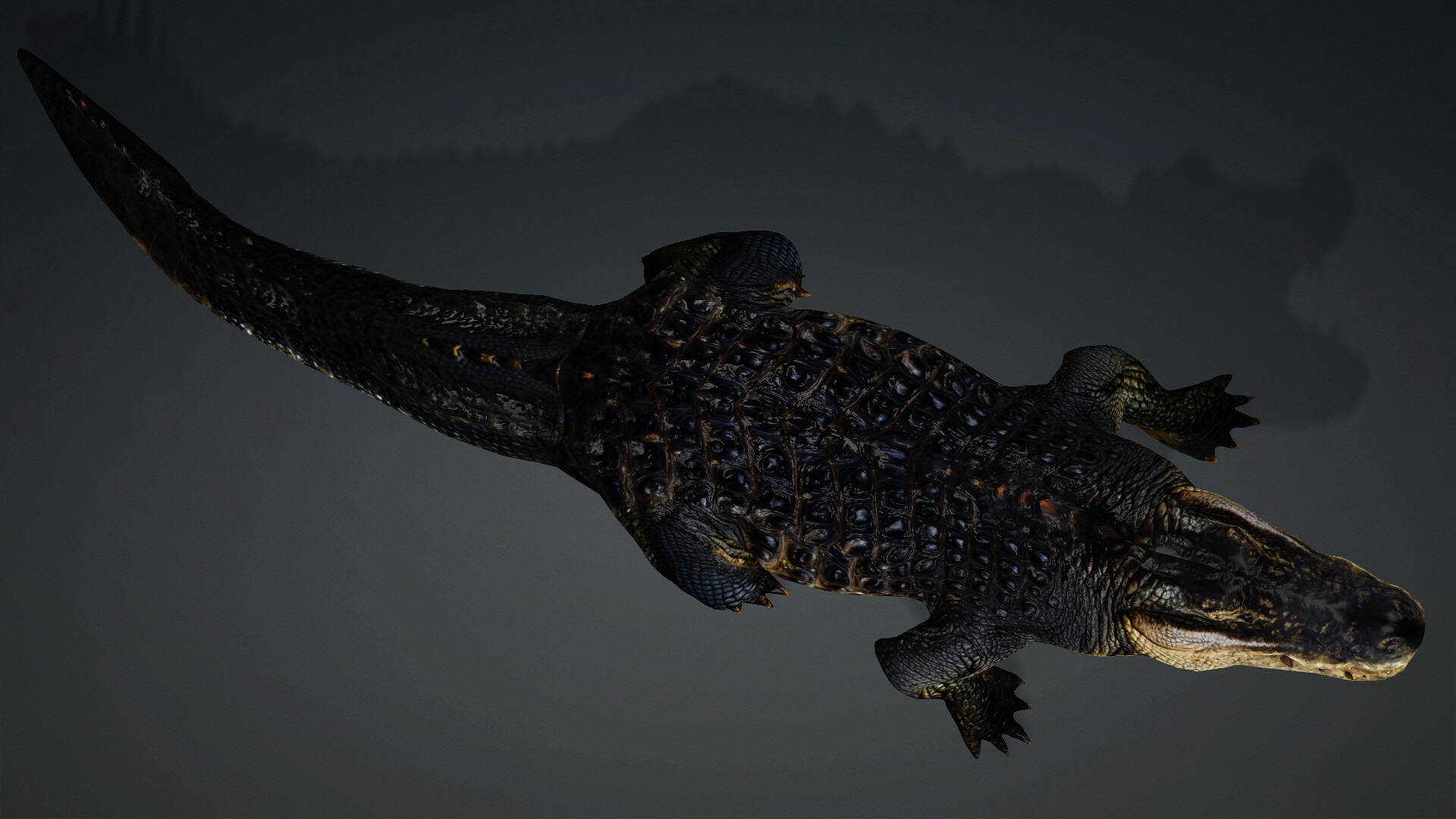 Crocodile-Animated 3D Animation by Animated3d