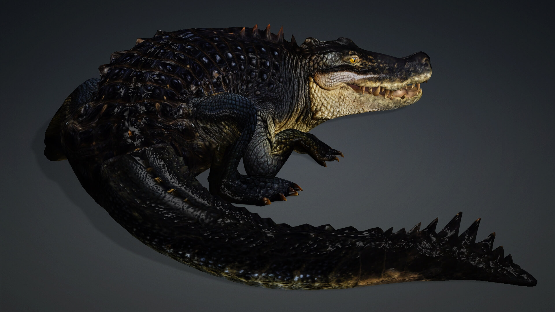 Crocodile-Animated 3D Animation by Animated3d