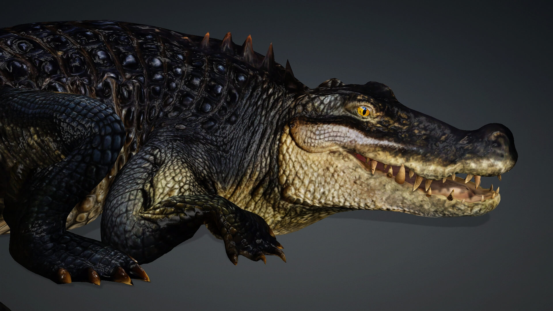 Crocodile-Animated 3D Animation by Animated3d