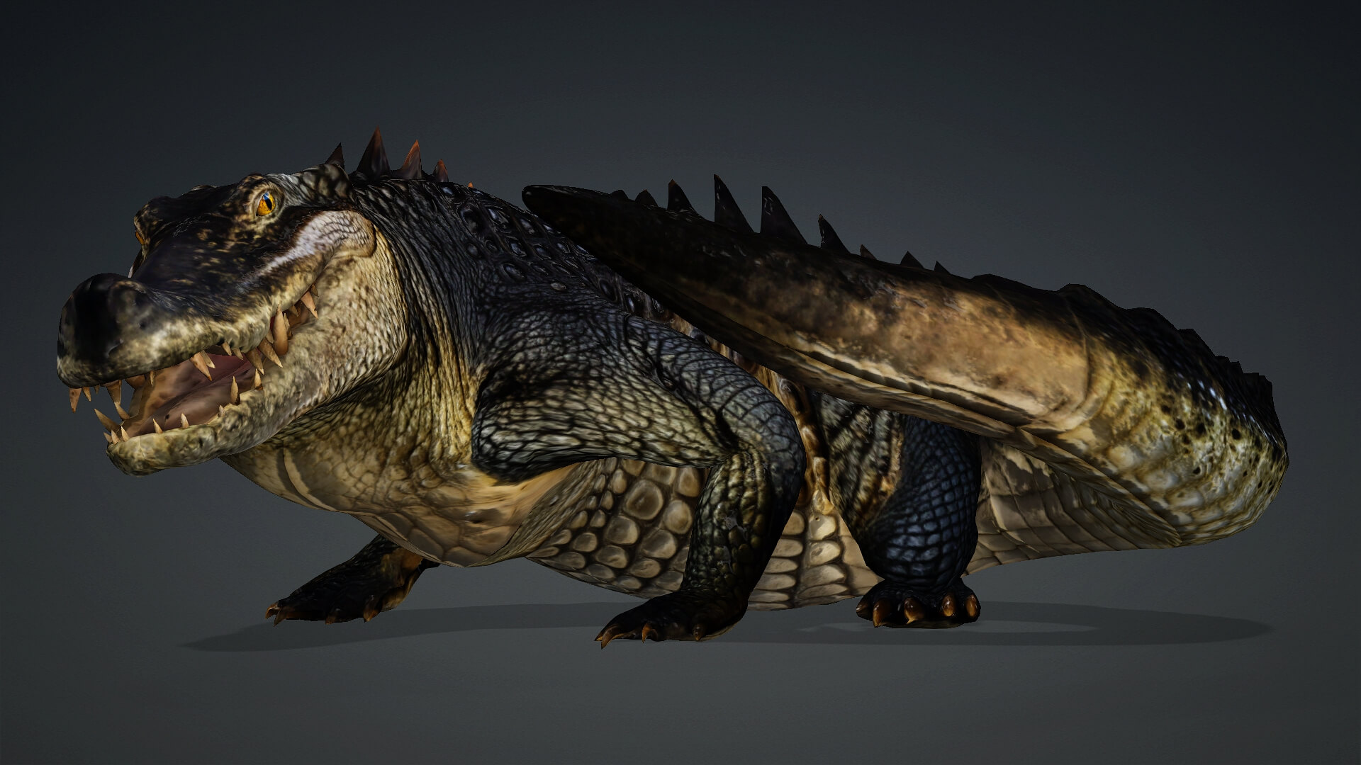 Crocodile-Animated 3D Animation by Animated3d