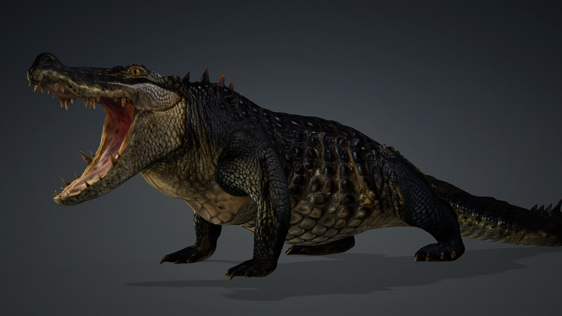 Crocodile-Animated 3D Animation by Animated3d